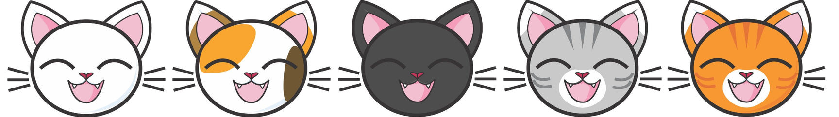 Combo Packs | Space Kitty Express